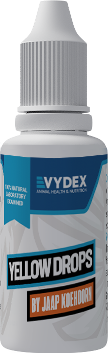 Gele Druppels Jaap Koehoorn 30ml